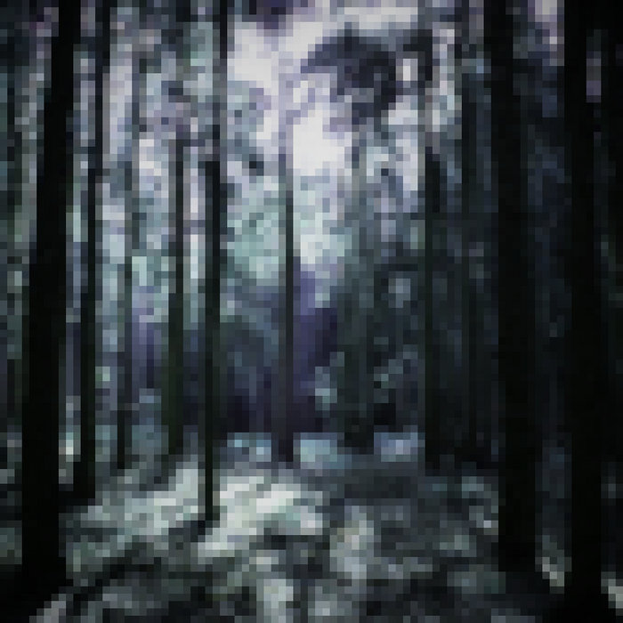In a Dark 8-bit Forest - Single | Fukurō | Canvas Records