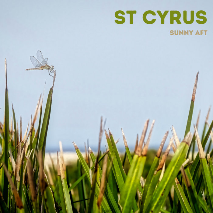 Sunny Aft | St Cyrus