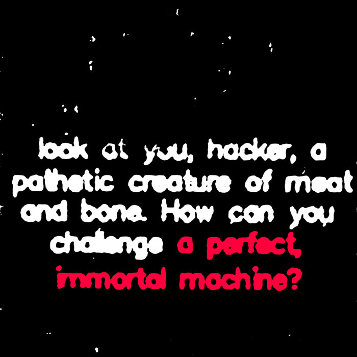 A PERFECT IMMORTAL MACHINE (lost takes and things that fell behind my ...