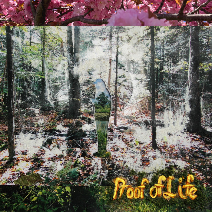 Proof of Life | Cloud District