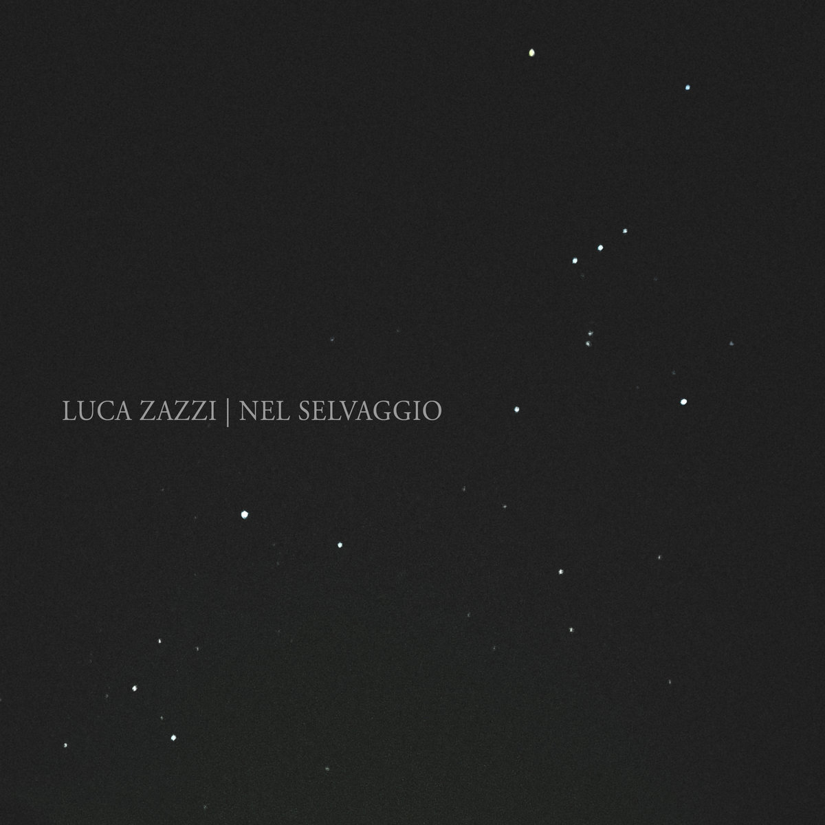 Nel selvaggio | Luca Zazzi