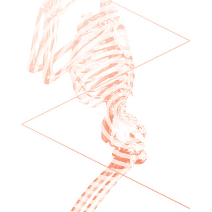 Swamp Waves | Jimmy Joe Roche | Ehse Records