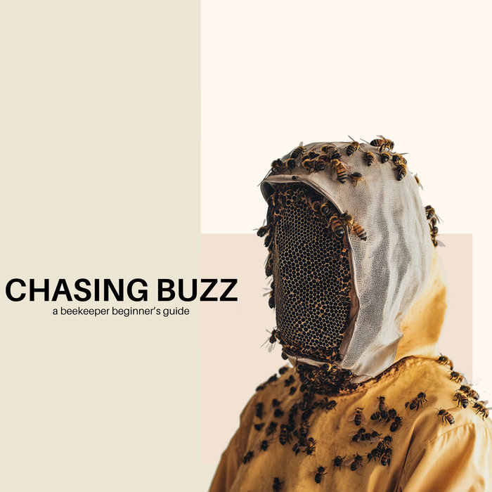 Chasing Buzz | onlinebees