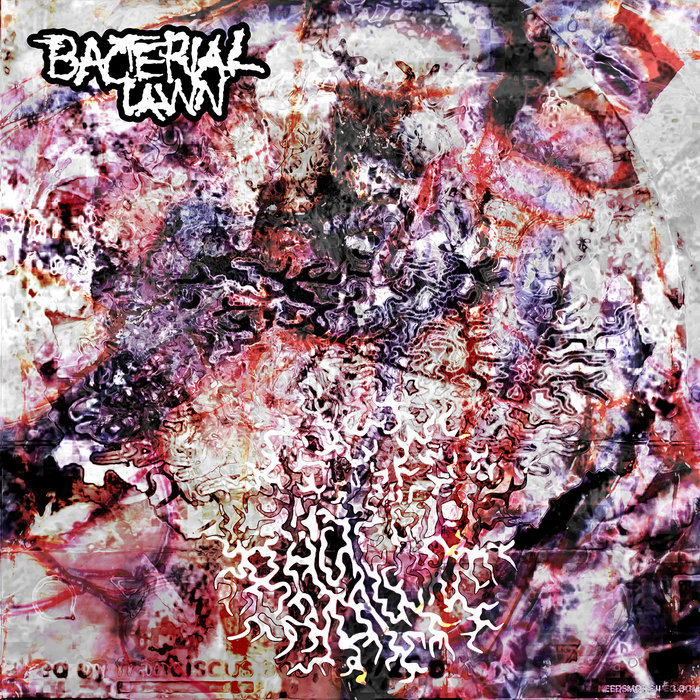 The Demo | Bacterial Lawn
