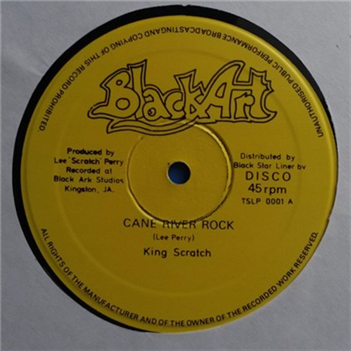 Cane River Rock Dread Lion Different Experience | King Scratch (3)