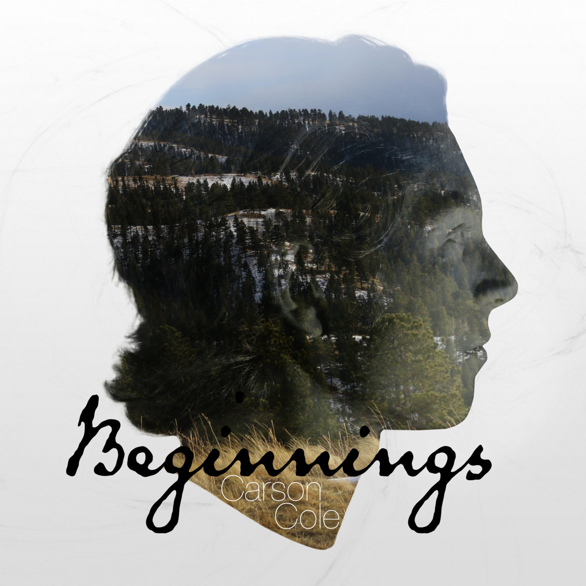 Beginnings | Carson Cole