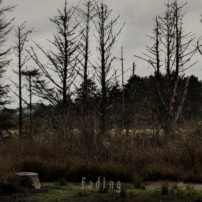 fading | The Screaming Wind