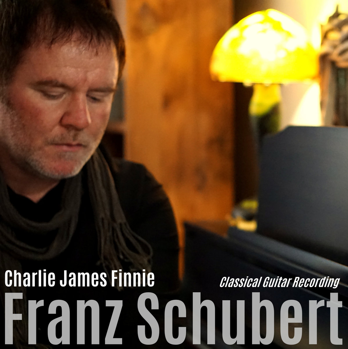 Schubert - Songs without Words (FULL ALBUM) | Franz Schubert | Charlie ...