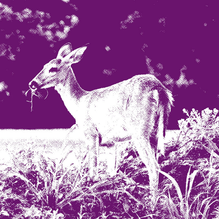 met a deer (fawn response) | veni visceral | BLESSENED