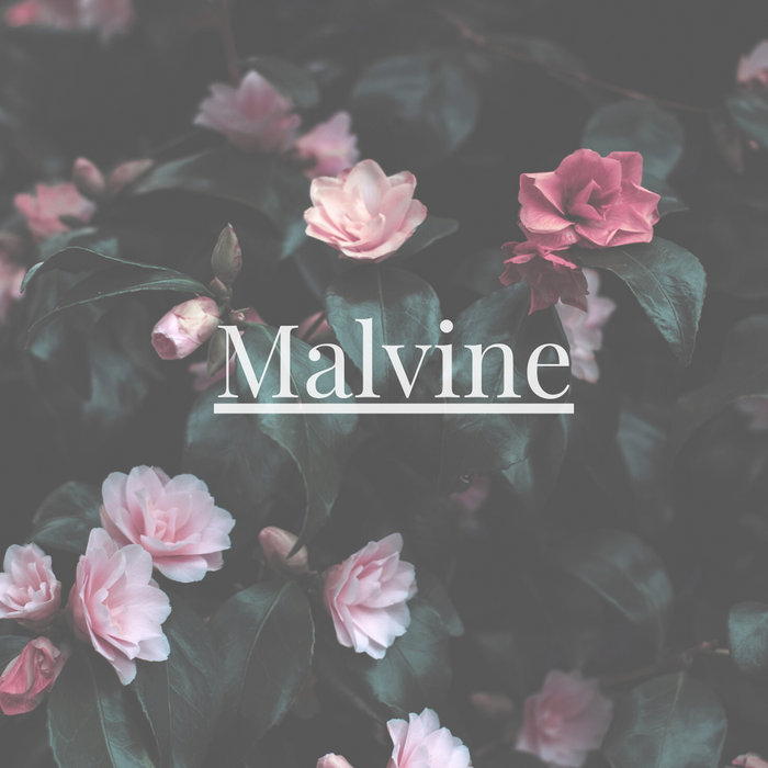 tylko ty | Malvine