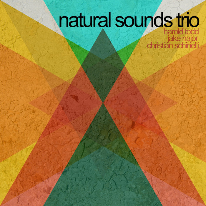 Self Titled | Natural Sounds Trio