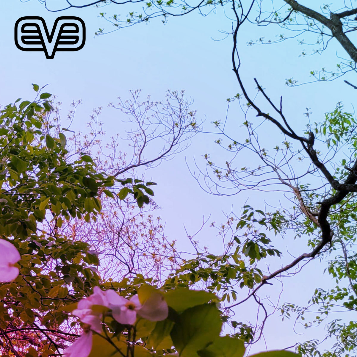bliss | EVE