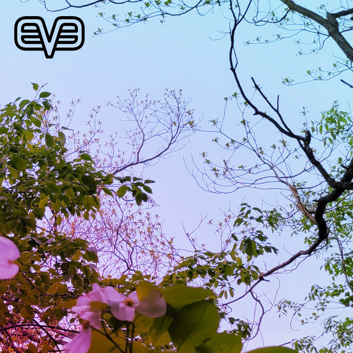 bliss | EVE