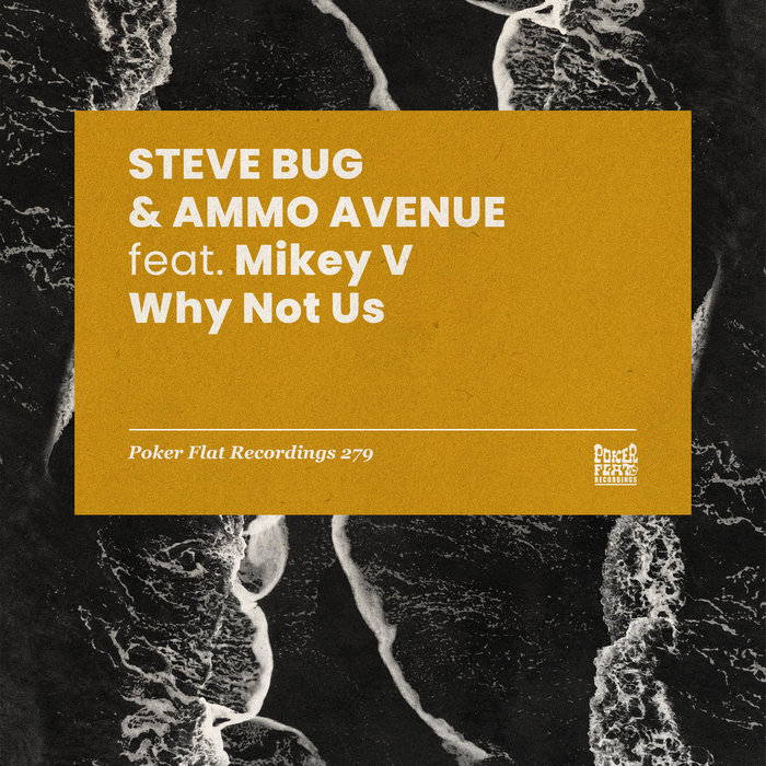 Why Not Us | Steve Bug & Ammo Avenue feat. Mikey V | Steve Bug