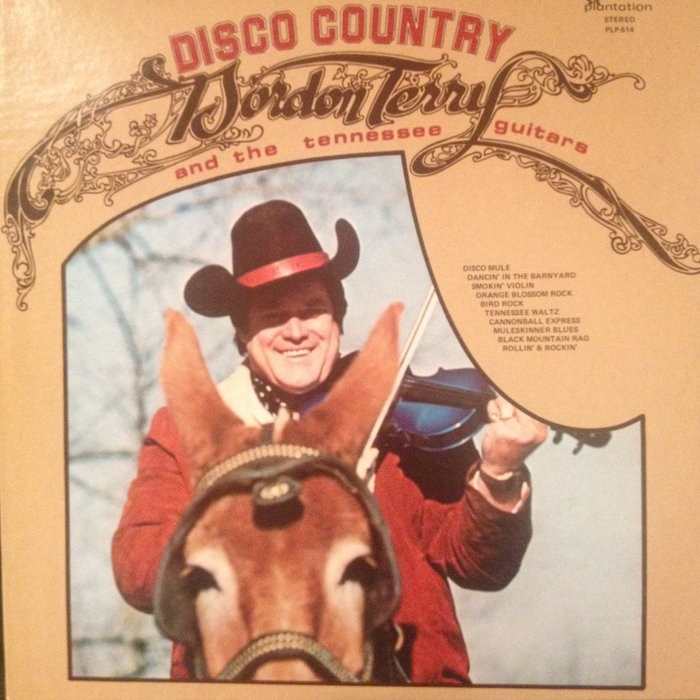 Disco Country | Gordon Terry | Vinyl Ranch