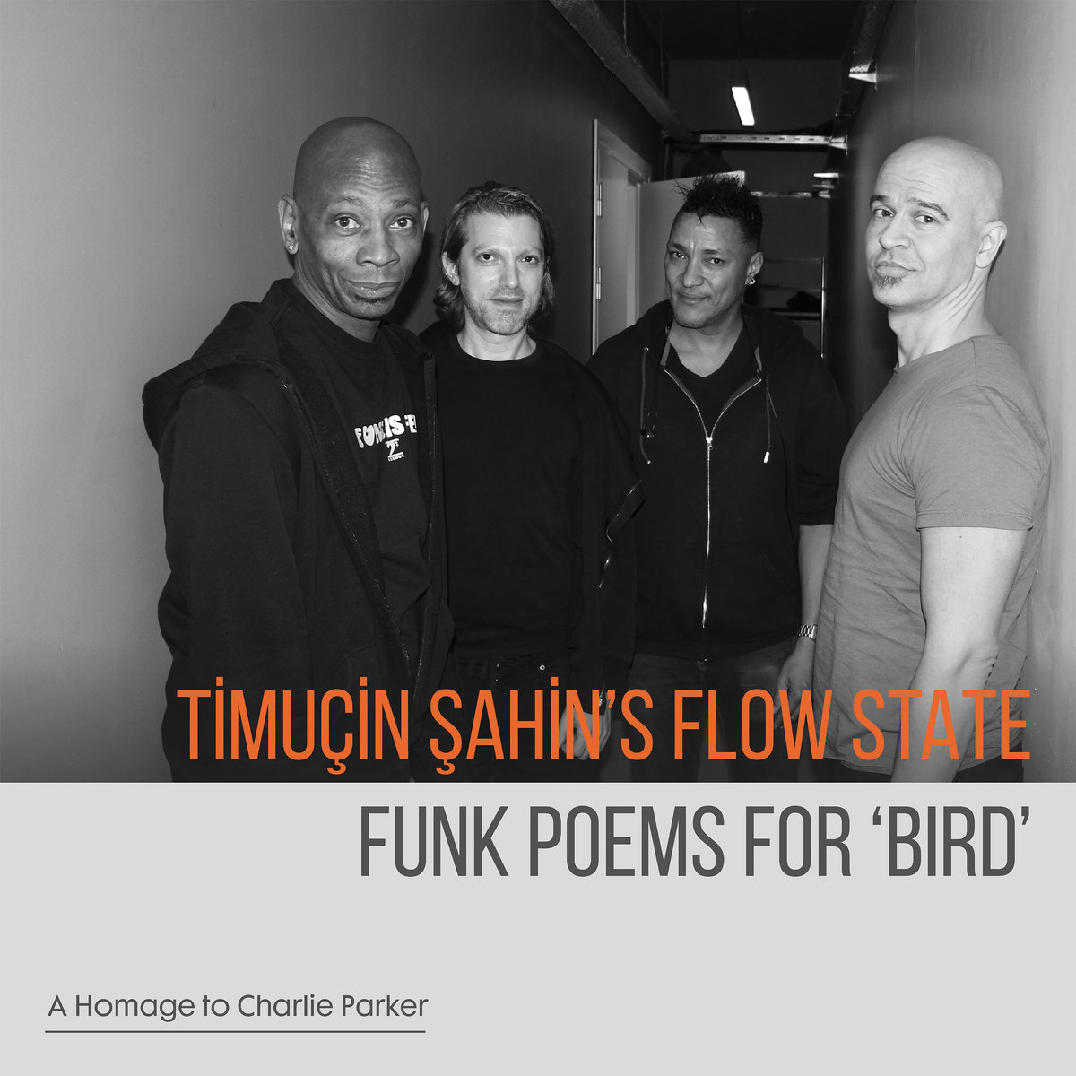 Funk Poems for 'Bird' | Timuçin Şahin's Flow State | Timuçin Şahin