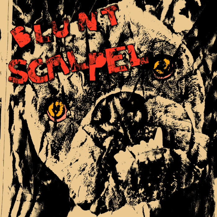 DEMO 2023 | Blunt Scalpel | codswallop-diy