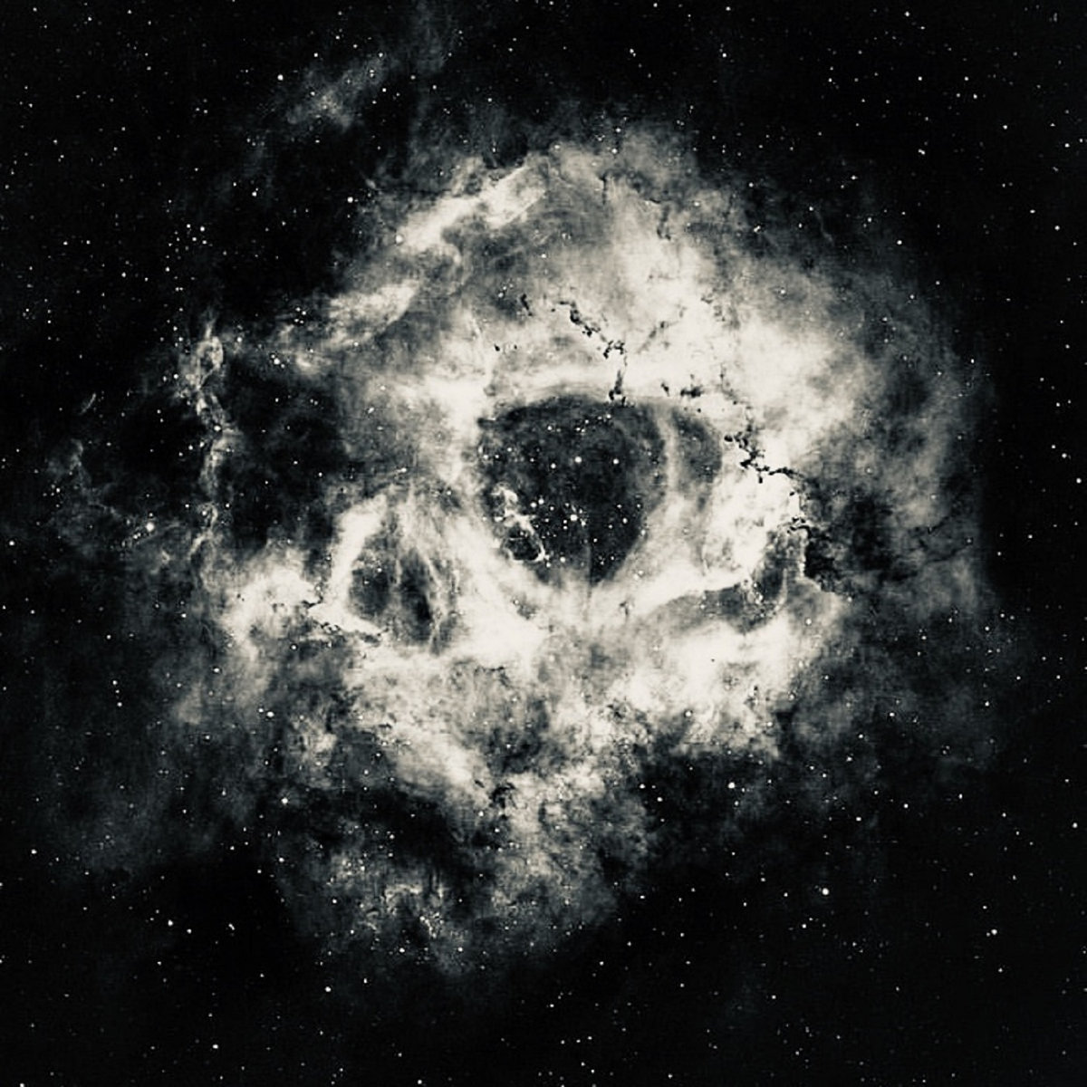 The Face In The Void | Killanova