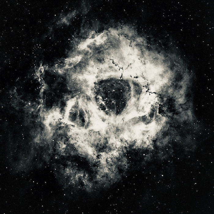 The Face In The Void | Killanova