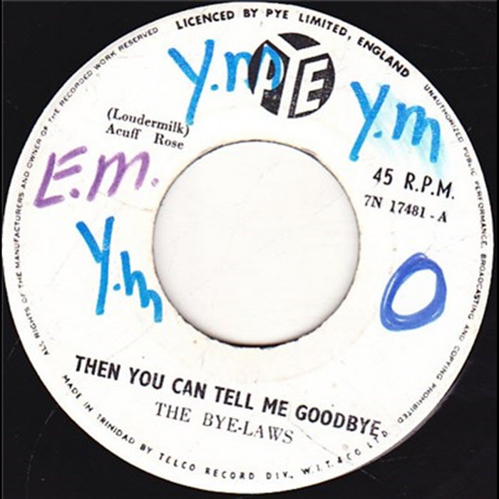 Then You Can Tell Me Goodbye | The Bye-Laws