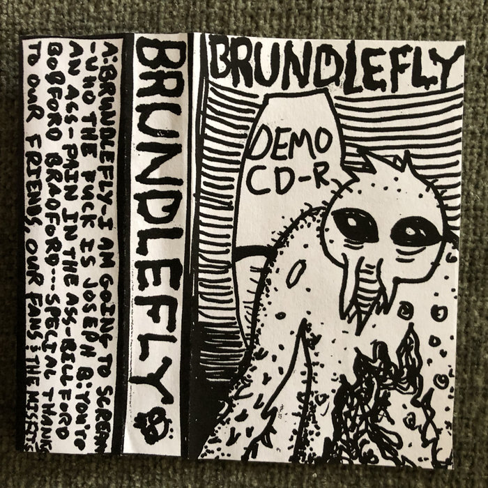 DEMO CD-R | BRUNDLEFLY