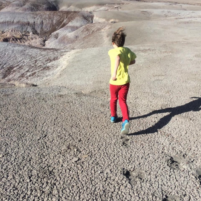 Afflatus | The Polyphonic Spree