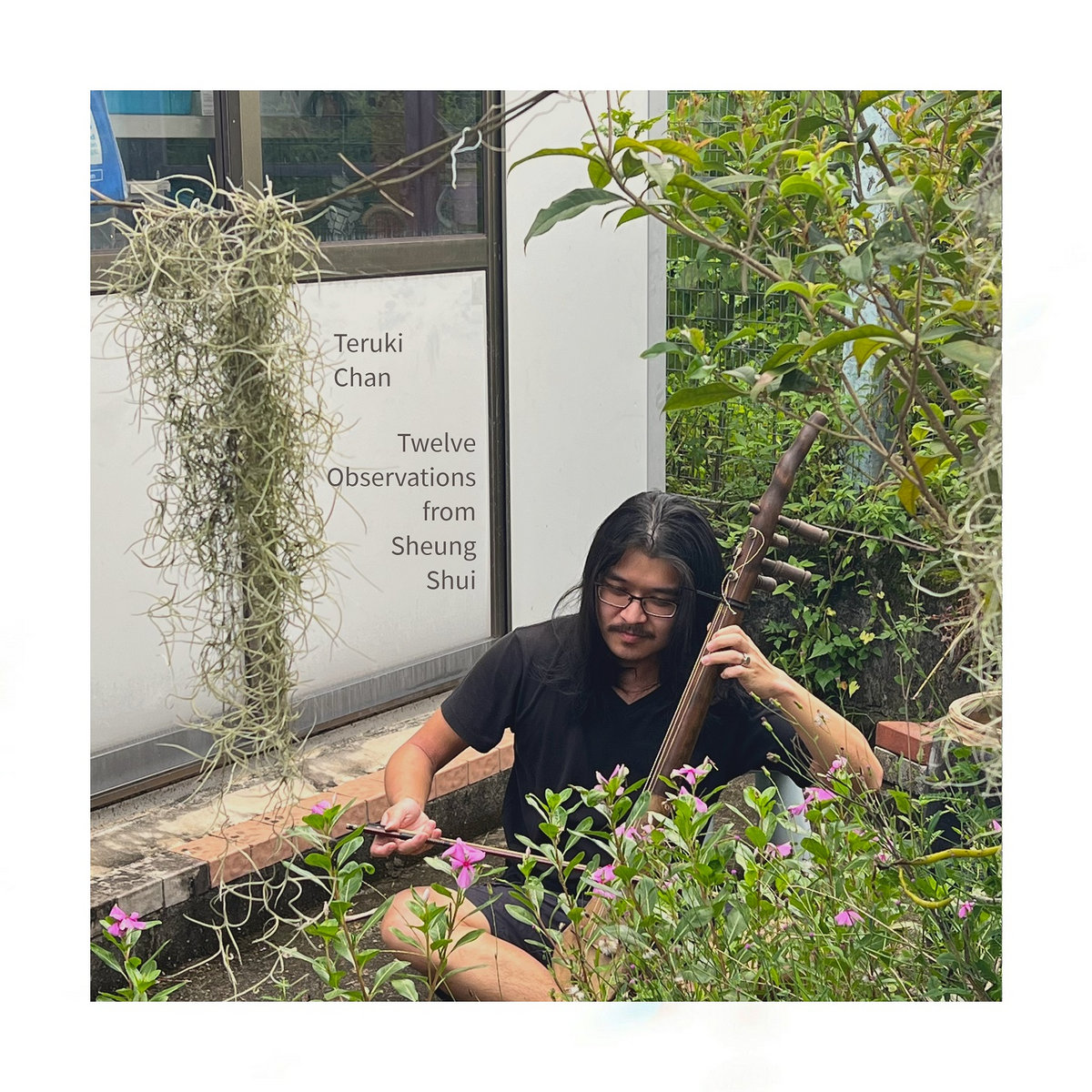 Twelve Observations from Sheung Shui | Teruki Chan