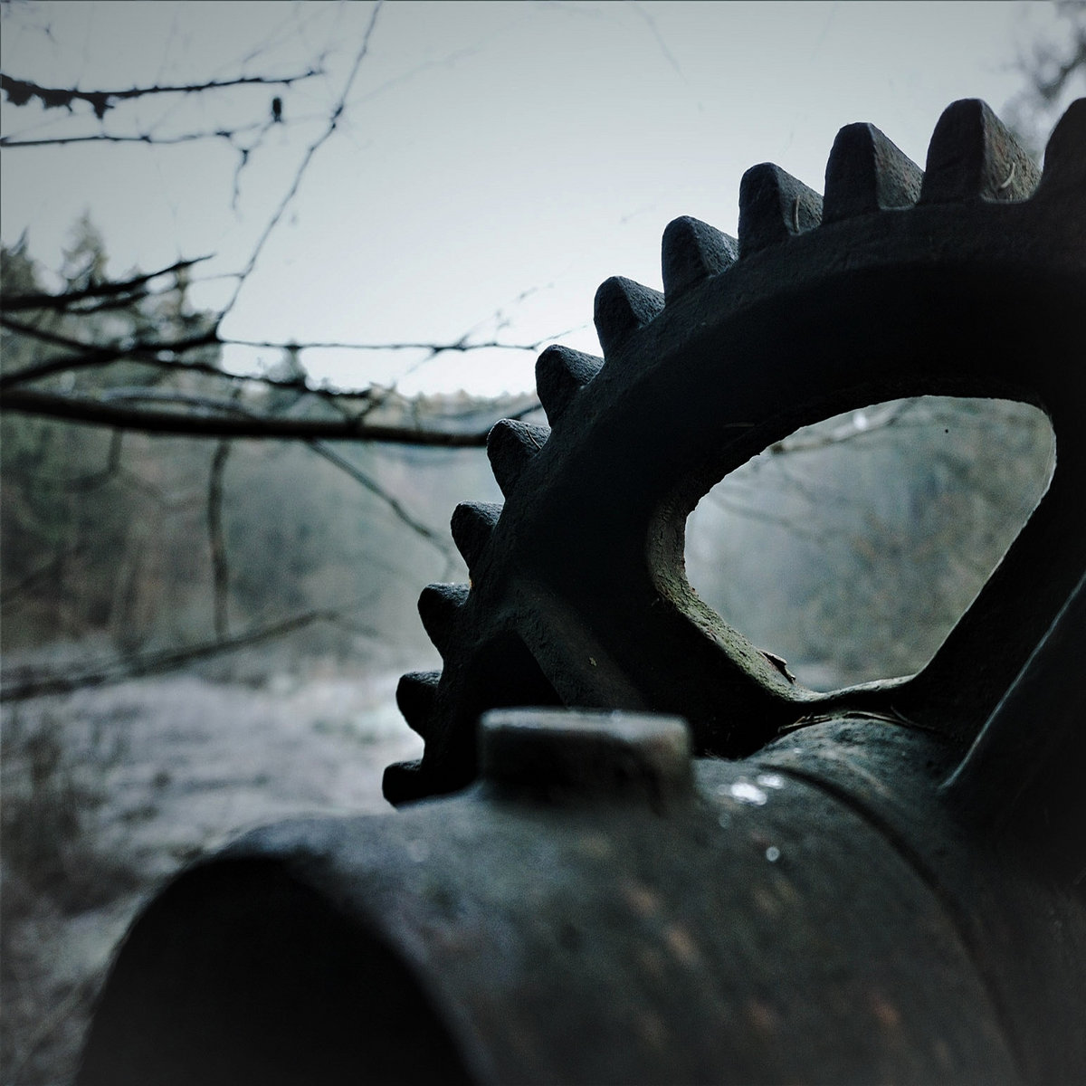 Open Day | Conducive