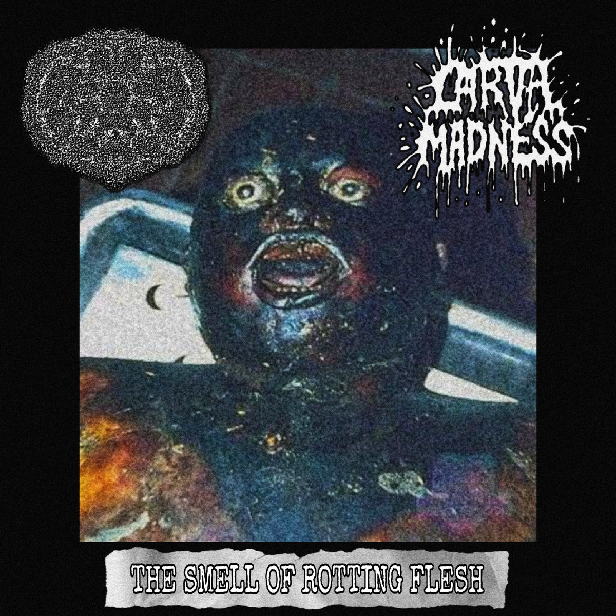 THE SMELL OF ROTTING FLESH SPLIT WITH LARVA MADNESS ...
