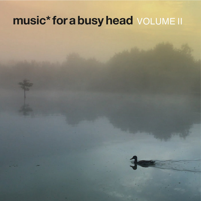 Music* For A Busy Head Vol 2 | matt coldrick | PAN ELECTRIC