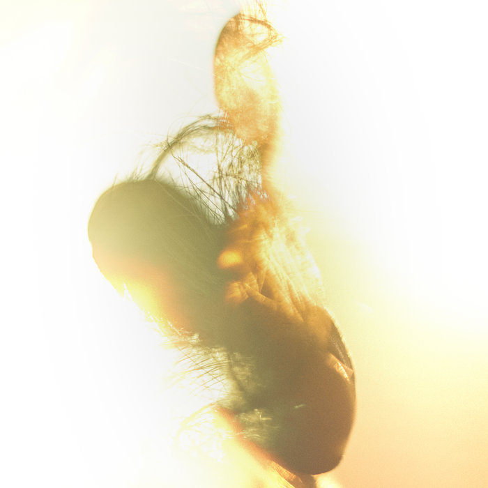 Therapist/FAT Split | FAT