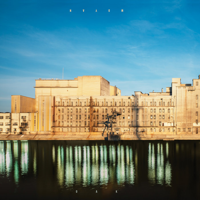 Split Oak/MoYan | MoYaN