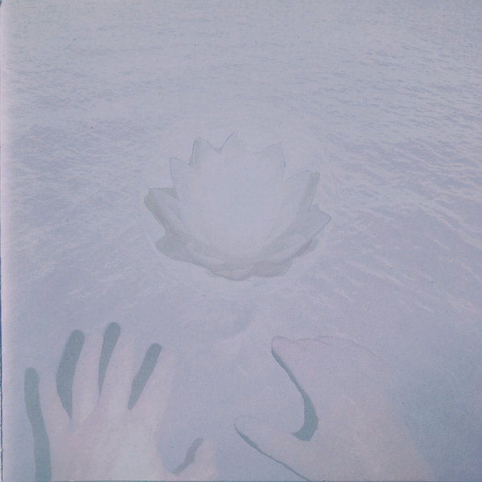 The Music of Belief | Dolphins Into The Future