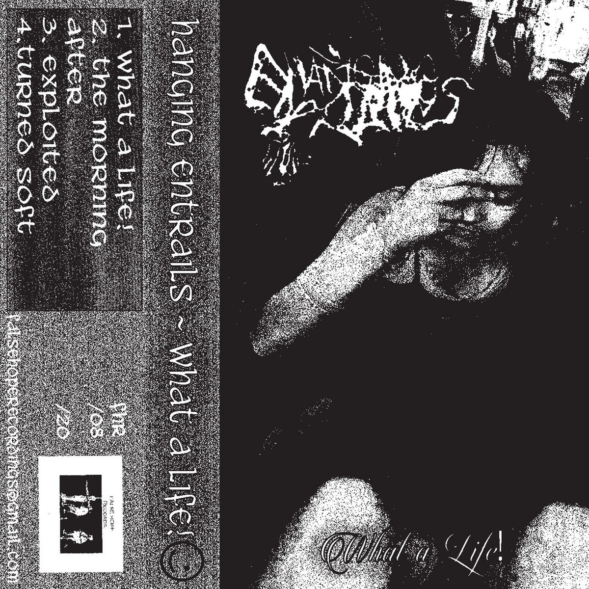 Hanging Entrails - “What a Life!” FHR/08 | falsehoperecords