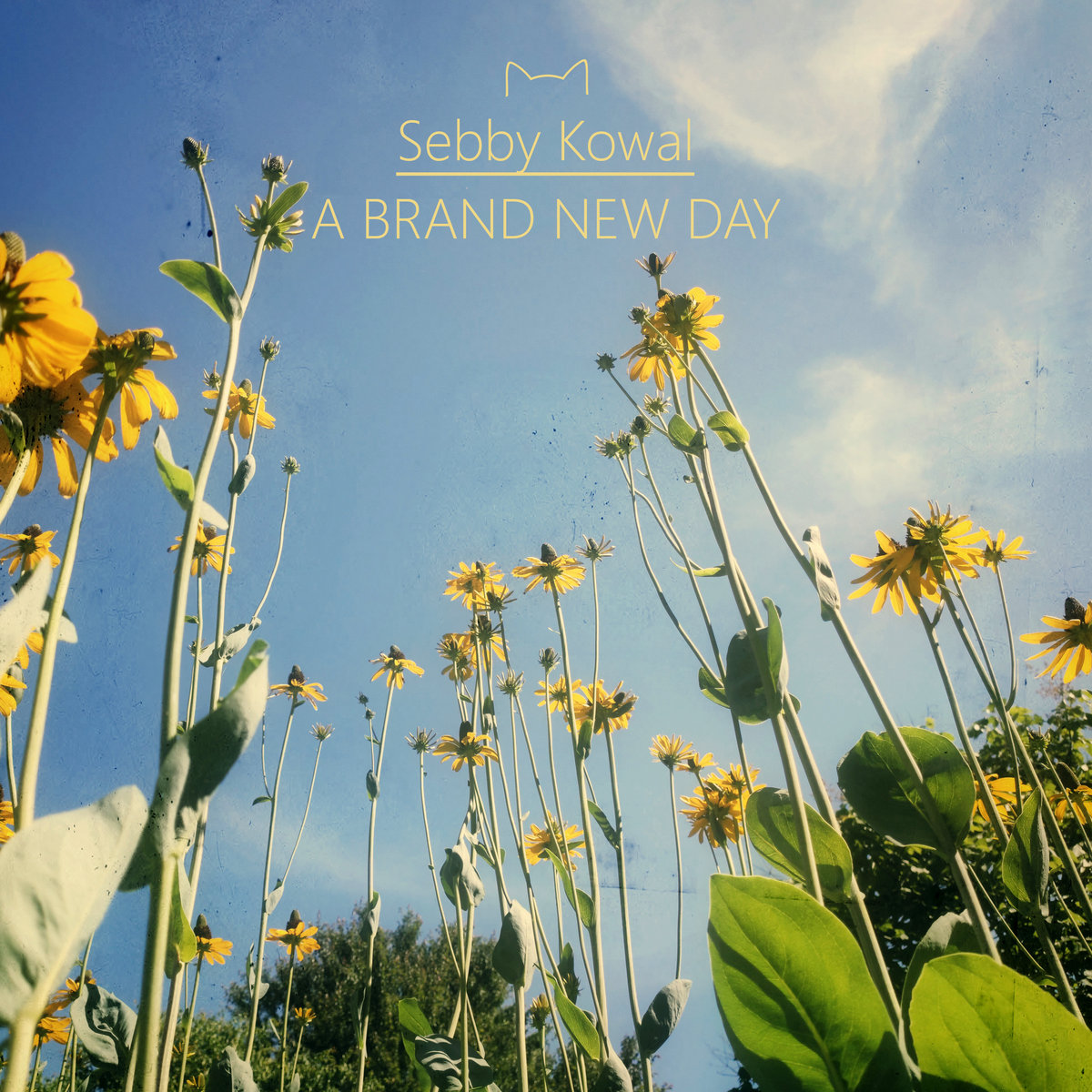 A Brand New Day | Sebby Kowal | Ambient Cat