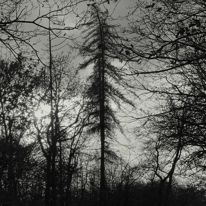 Feral Earth | Curse All Kings | breathsunboneblood