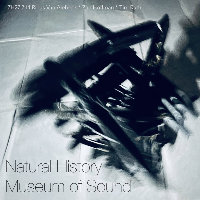 Natural History Museum of Sound | Zan Hoffman