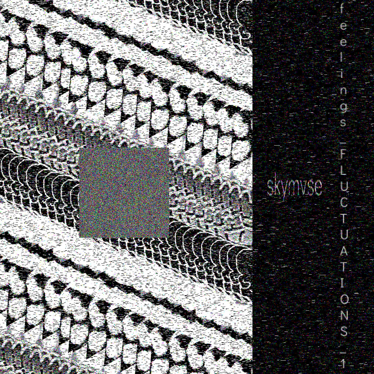 feelings_FLUCTUATIONS_1 | skymvse