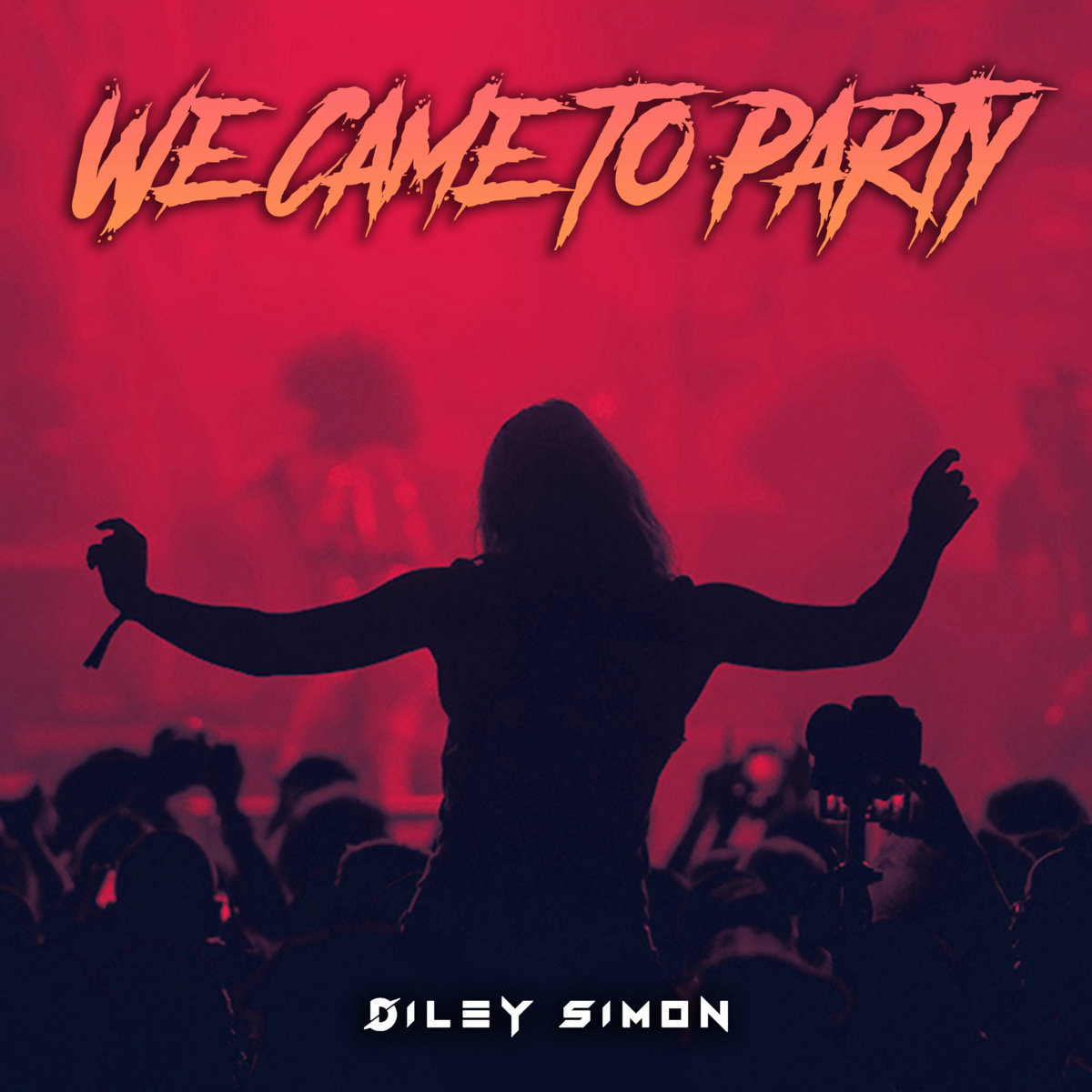 We Came to Party | Diley Simon
