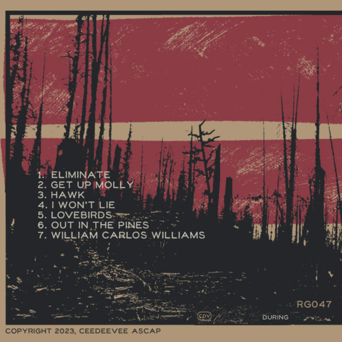 During | CeeDeeVee | Cee Dee Vee