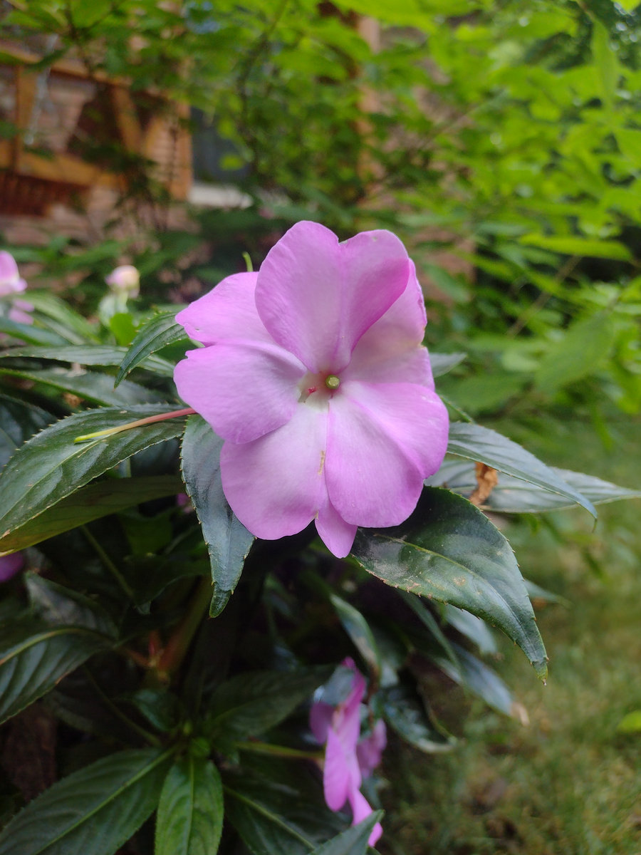 Wonders in Heaven Above and Signs in the Earth Beneath | Greg Pacleb