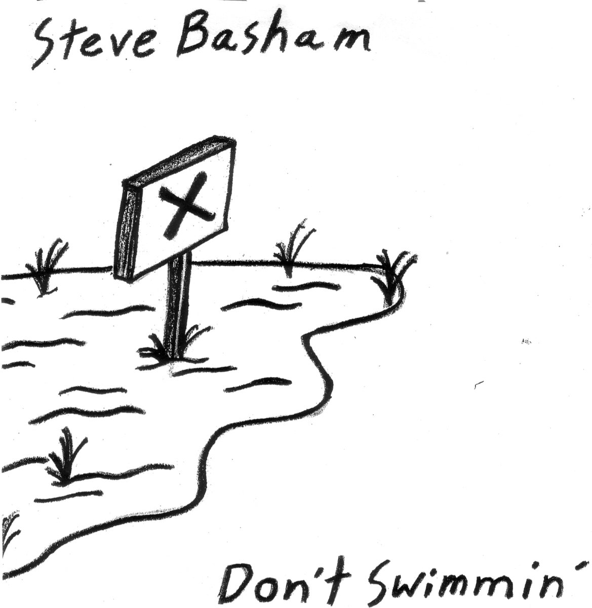 Don't Swimmin' | Steve Basham