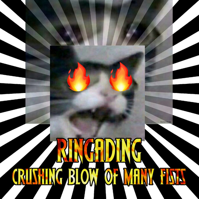 CRUSHING BLOW OF MANY FISTS | Ringading