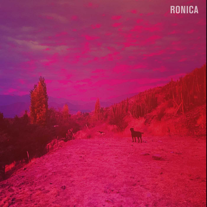 Ronica (DEMO) | ronica | Ronica