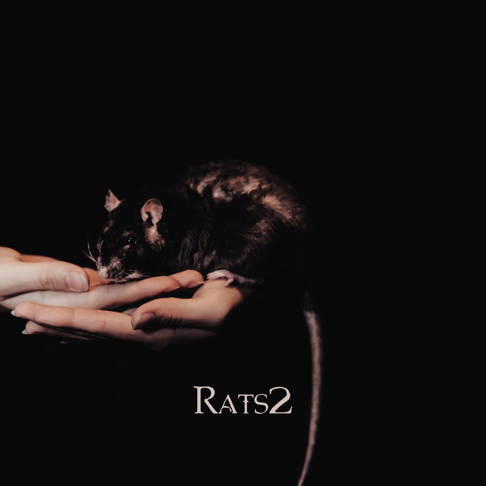 rats2 | TraumaRatz