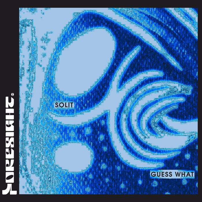 Guess What | SOLIT | Foresight Records