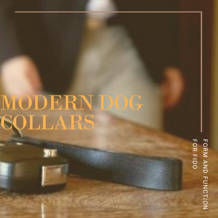 Modern Dog Collars: Form and Function for Fido | Paw Lane