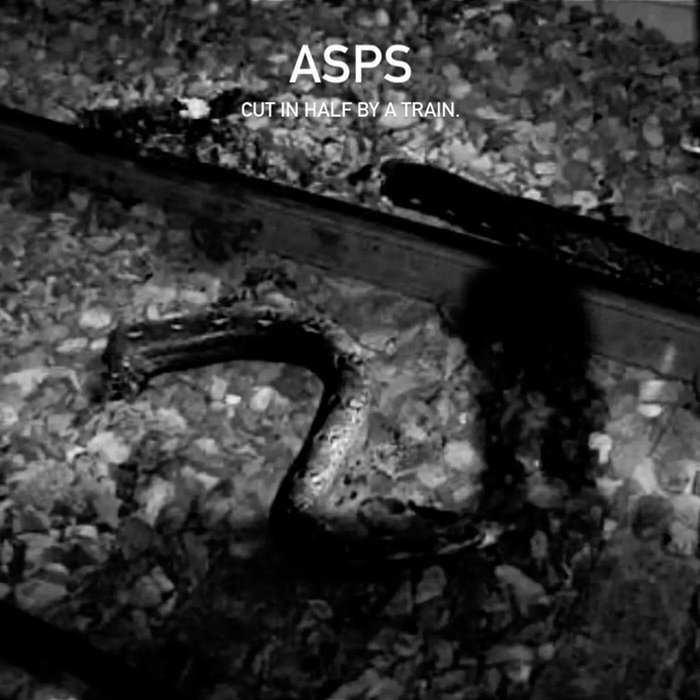 MPR068. ASPS "Cut In Half By A Train" | Mechanical Presence Records