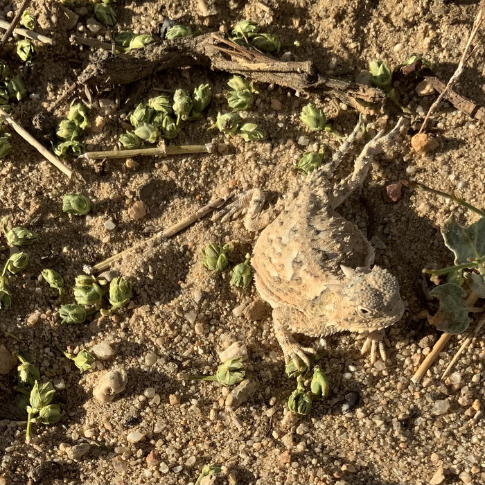 IamA.I. 3 | Trace Hints