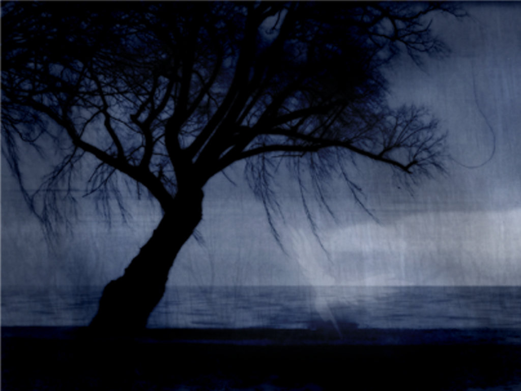 Dark Mist | Chayan Sen